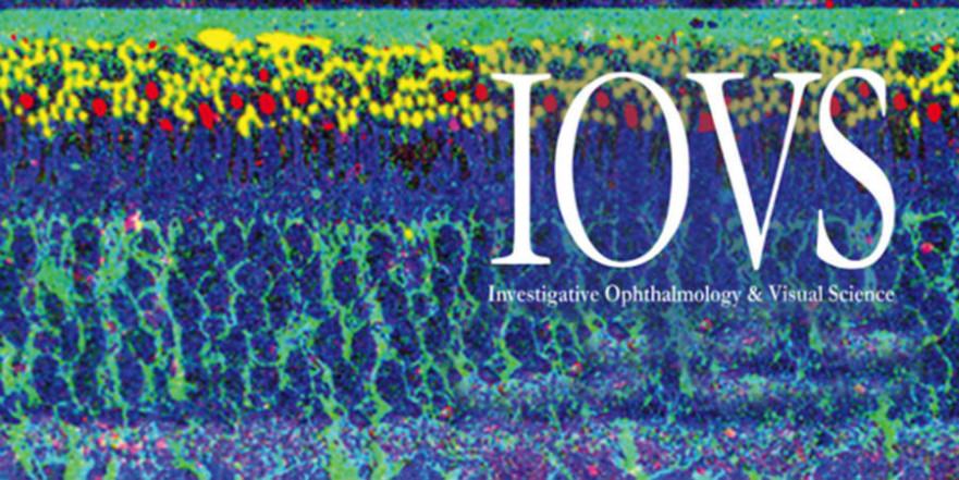 Laboratory study on retinal implants and visual perception - The ELZA ...