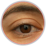 The ELZA Eye Institute - Global Cross-Linking expertise