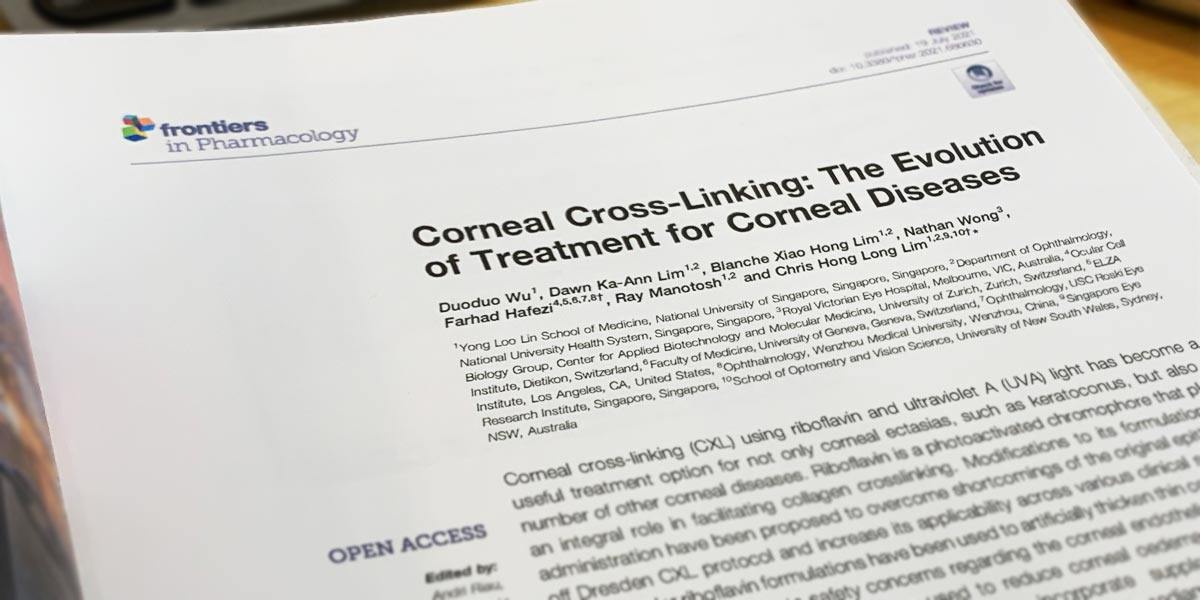 What is the future of CXL? - The ELZA Institute